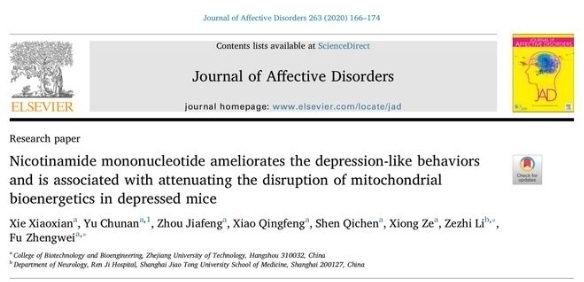 如果快乐很难，Aneoktur NMN为你提供情绪出口_山东站_中华网
